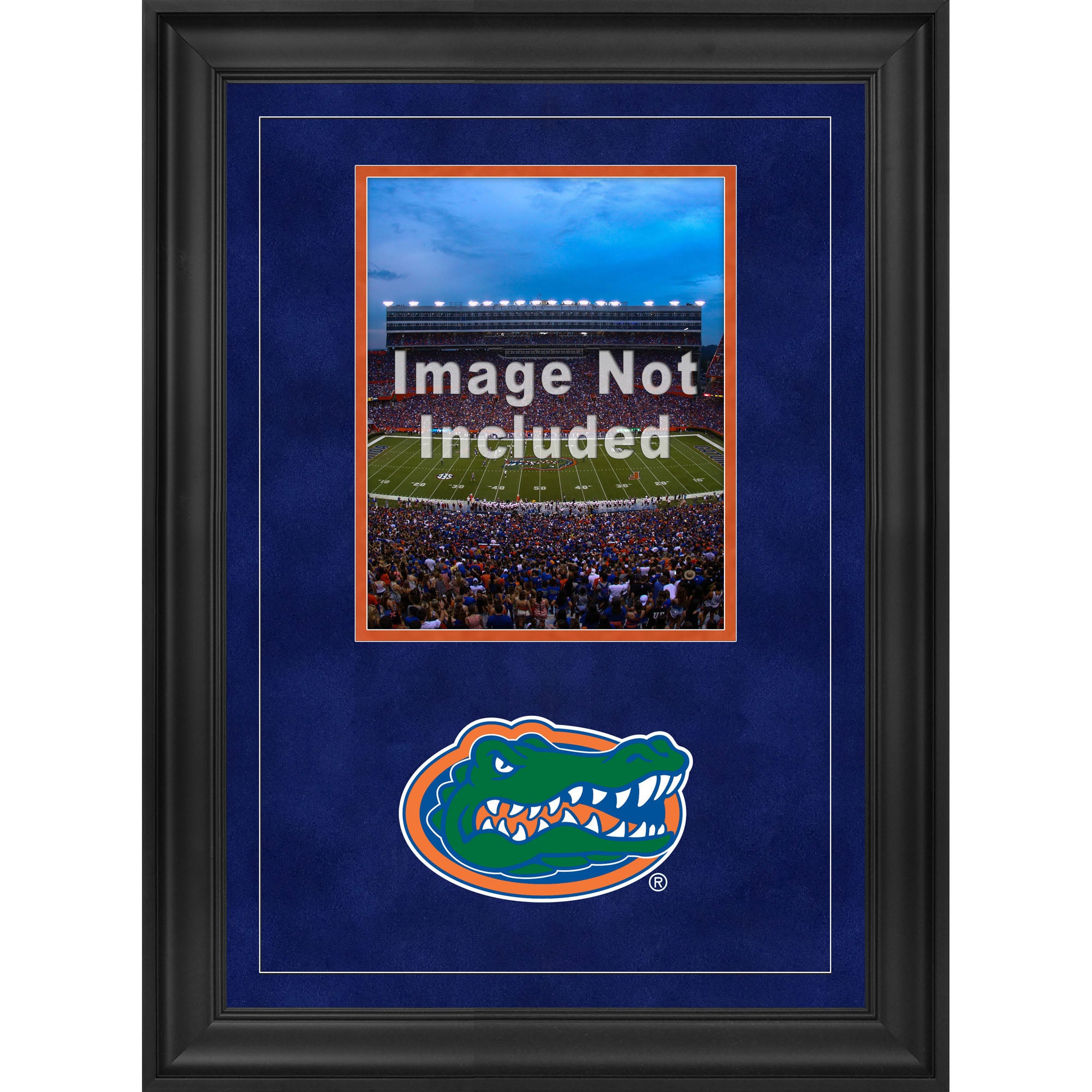 Florida Gators 8'' x 10'' Deluxe Vertical Photograph Frame with Team L ...