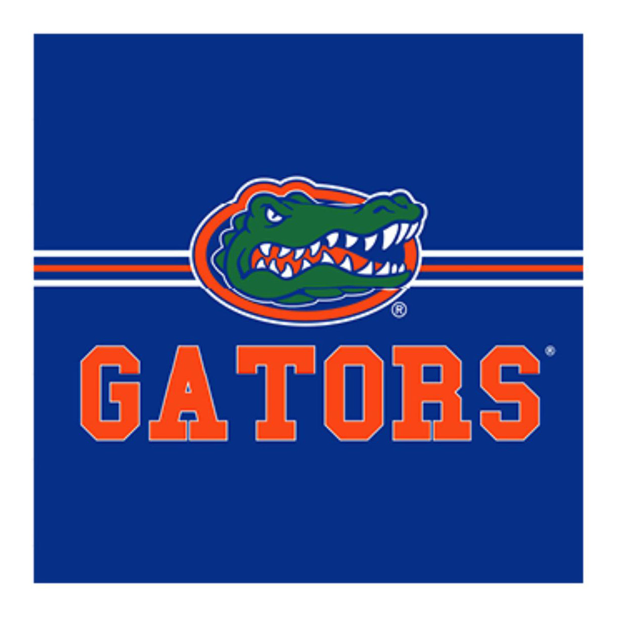 Florida Gators 12" x 12" Movable Wall Tile Sign – Fan Day Nation