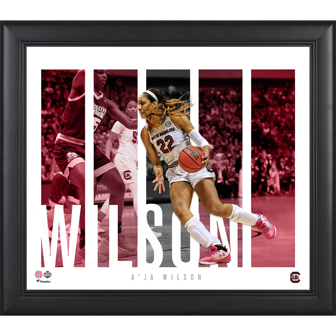 A'ja Wilson South Carolina Gamecocks Framed 15" x 17" Player Panel Col ...